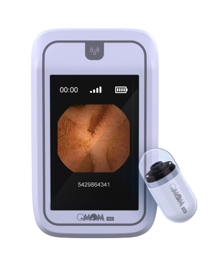 Capsule endoscopy - Endomedix